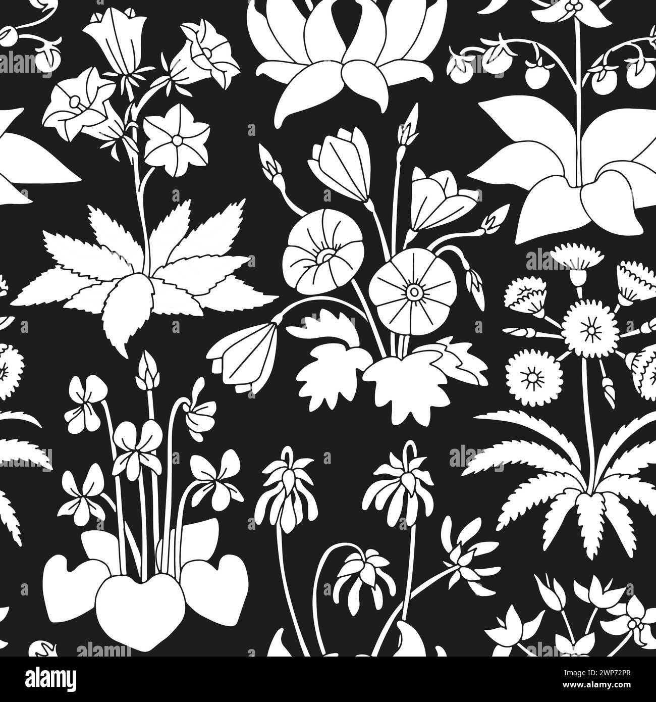 Black and white seamless pattern with canary islands flowers Stock ...