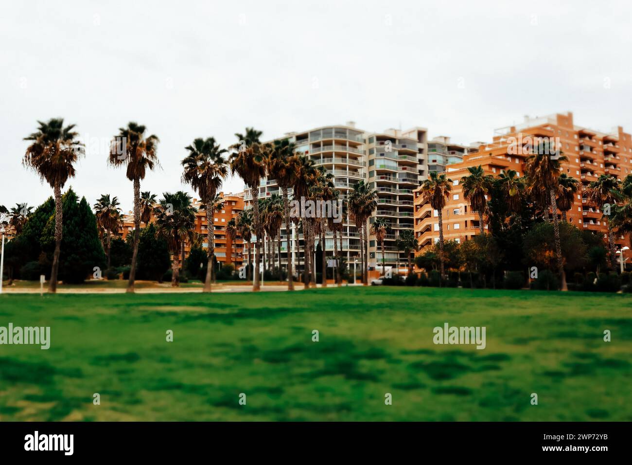 Orange facades of modern high-rise apartment residential buildings and ...