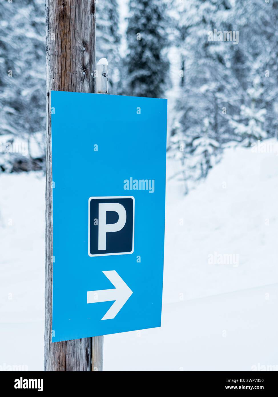A blue parking sign with a white P and an arrow is affixed to a wooden ...