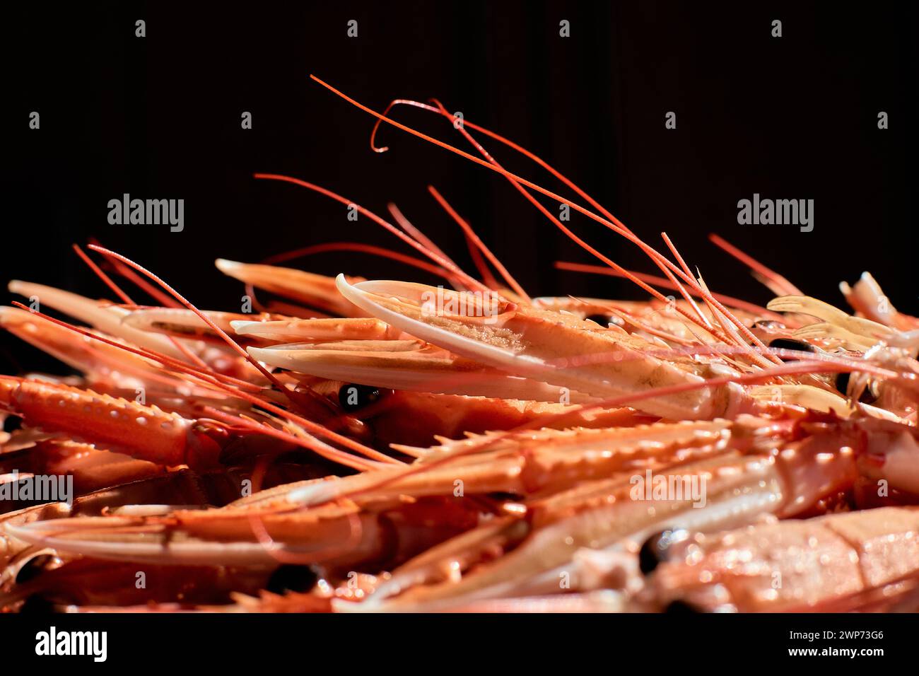The pincers and antennae of a crayfish head close-up Stock Photo - Alamy