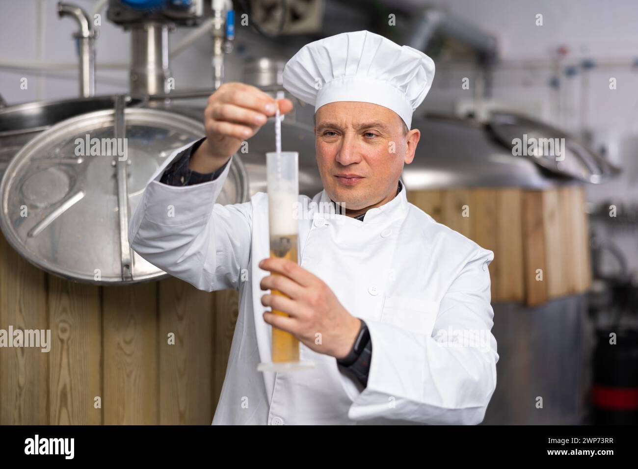 Focused brewer measuring beer gravity with hydrometer in brewery Stock ...