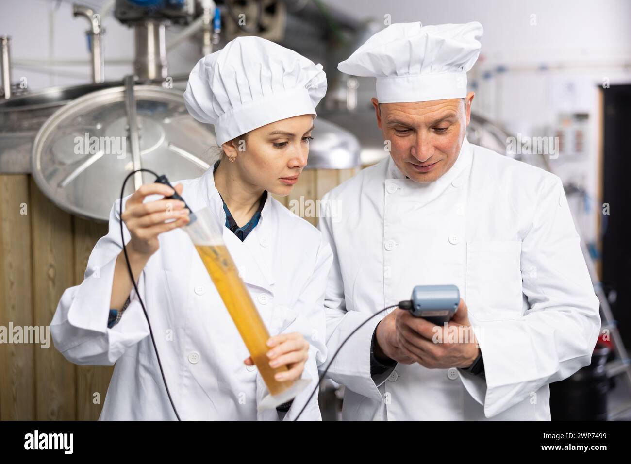 Male and female brewers measuring pH in beer with digital meter Stock ...