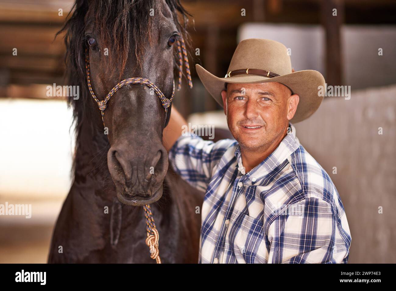 Cowboy, man and horse in stable for portrait with care, growth and ...