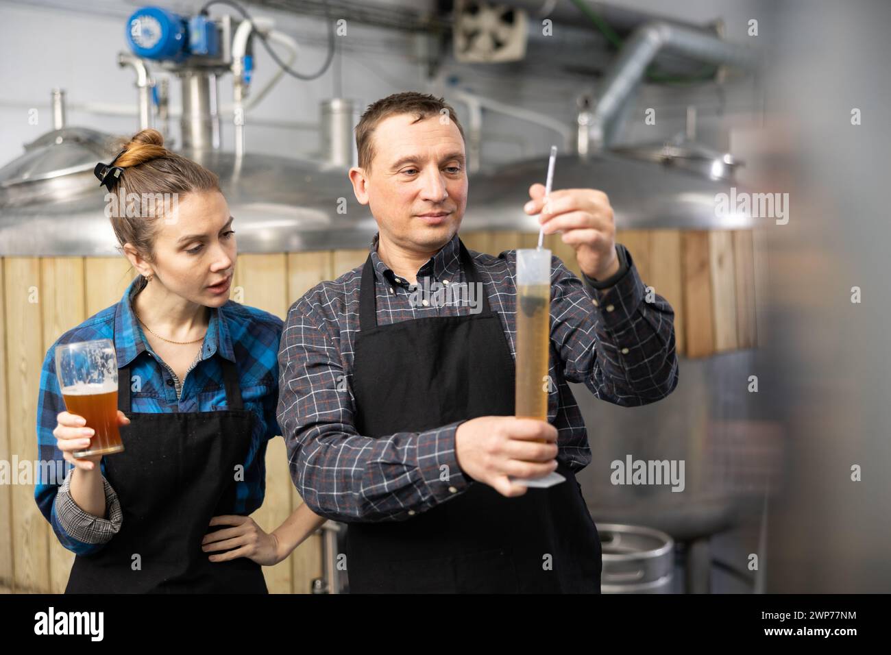 Couple of brewmasters using hydrometer to check alcoholic content in ...