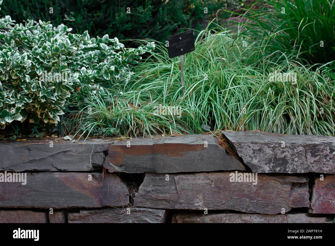 Stone brick layout in public park, formal botanical garden. Rocks ...
