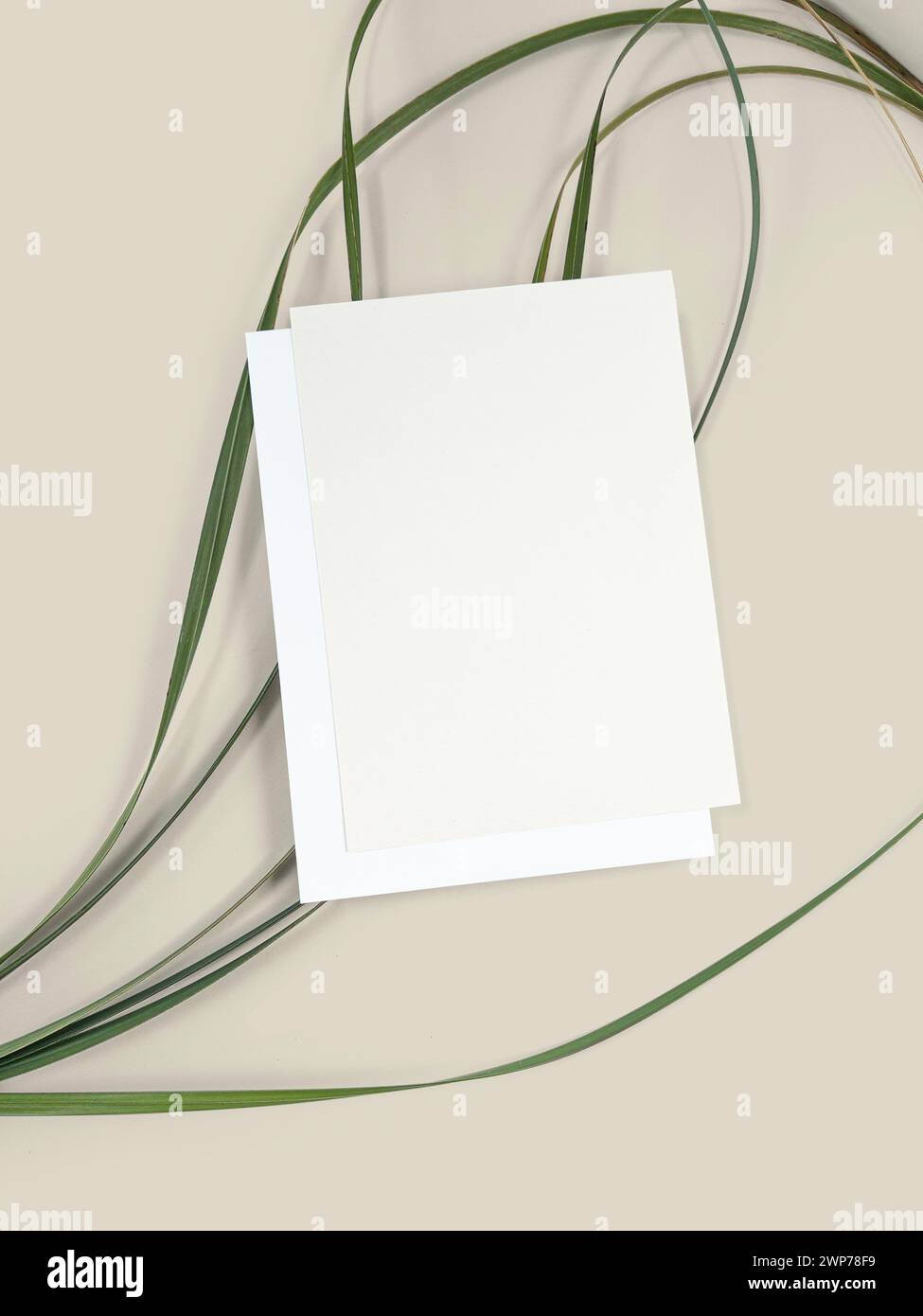Postcard greeting card empty template top view flat lay with blade of ...