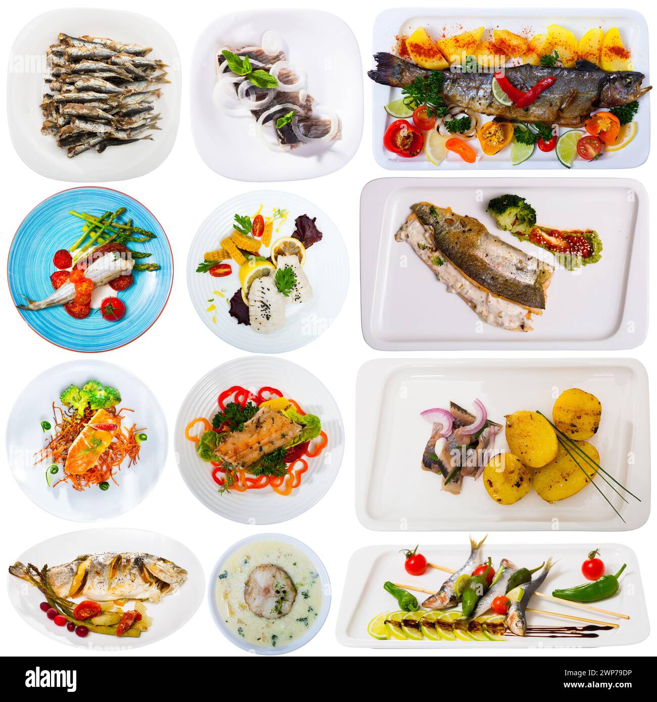 Dishes with hake, salmon and cod isolated on white background Stock ...