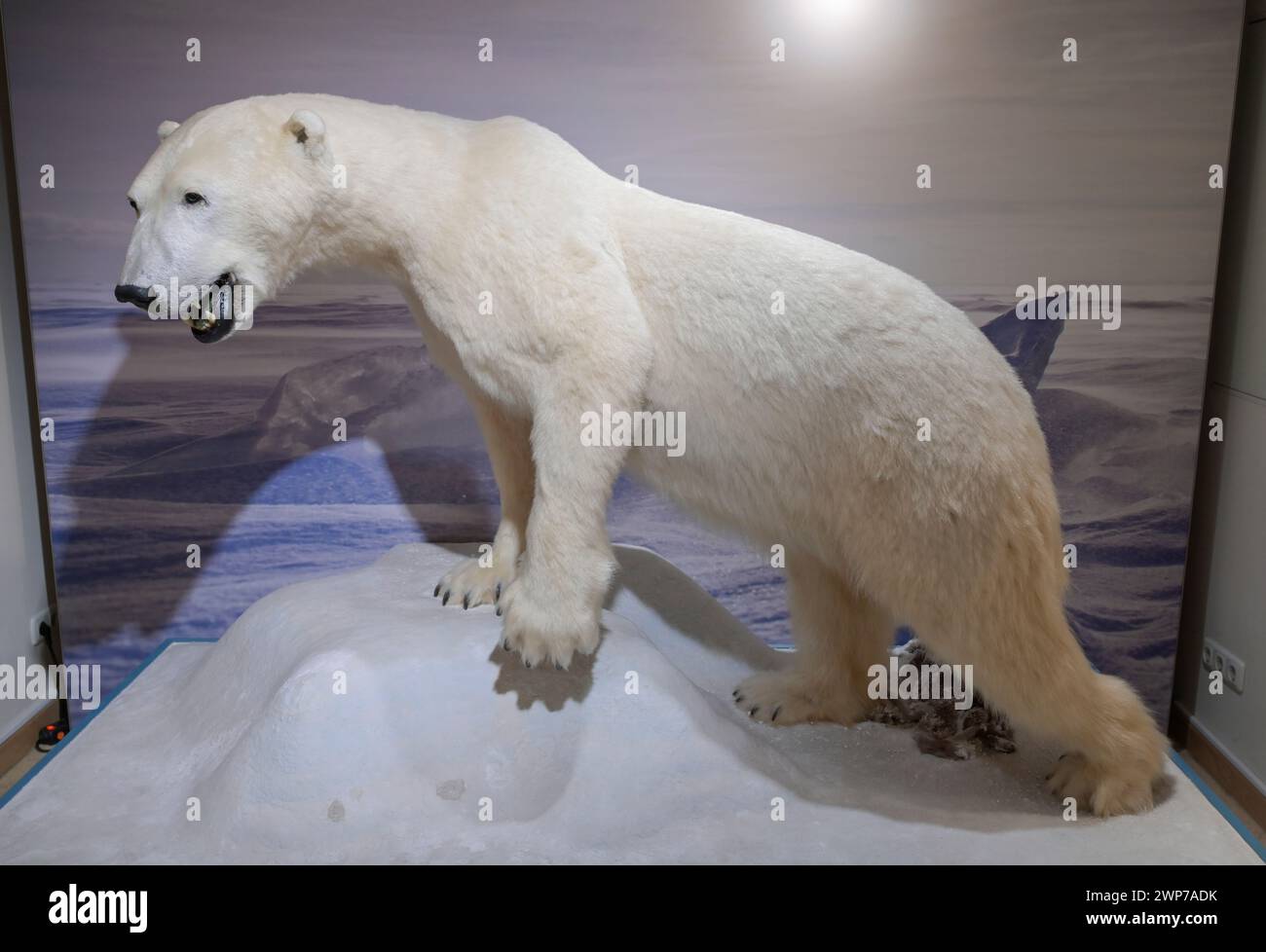 Nancy ansicht hi-res stock photography and images - Alamy