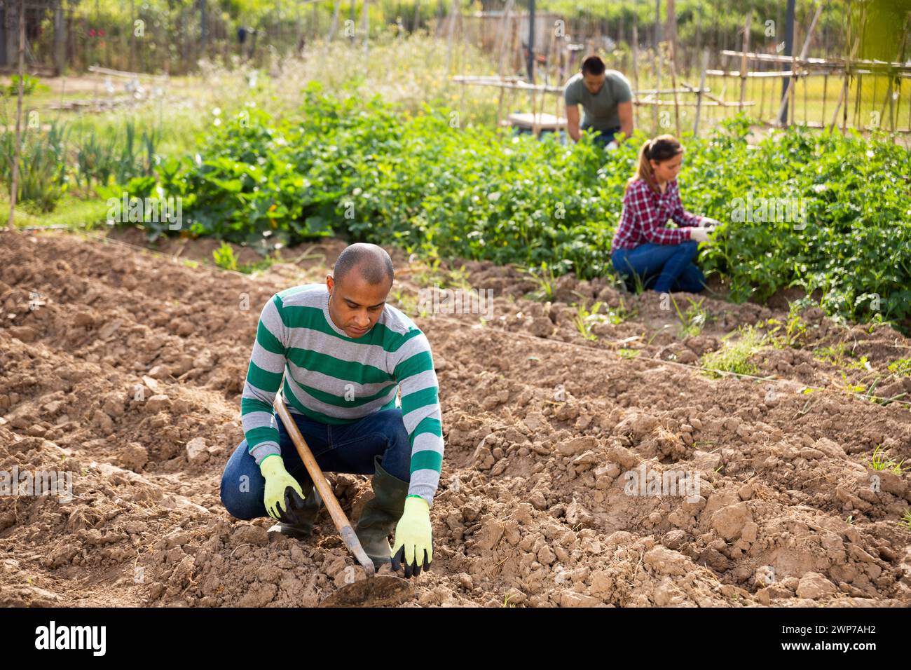African tilling the soil hi-res stock photography and images - Alamy