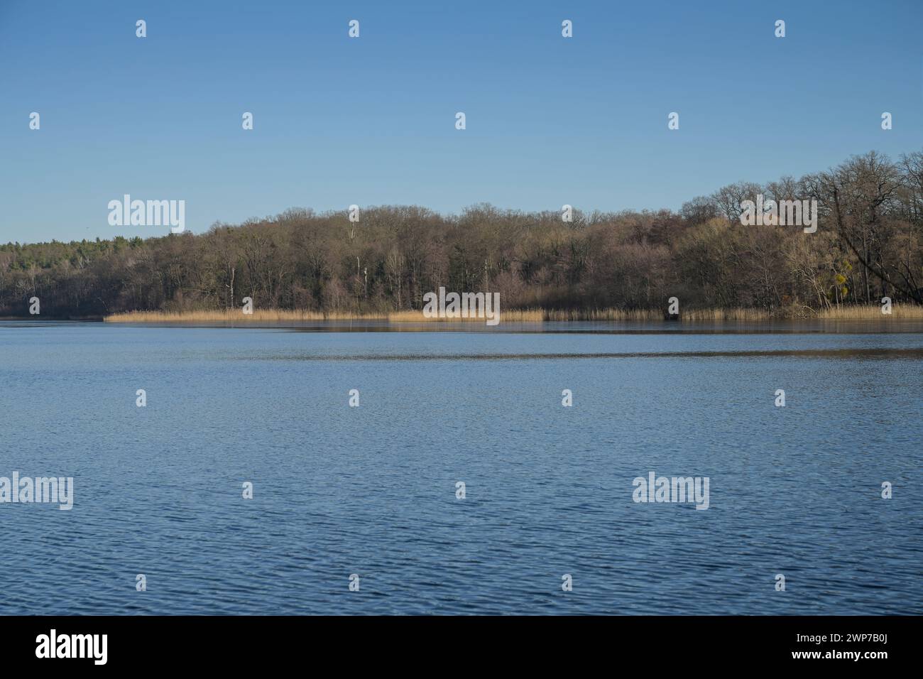 Sacrower See, Potsdam, Brandenburg, Deutschland Stock Photo - Alamy