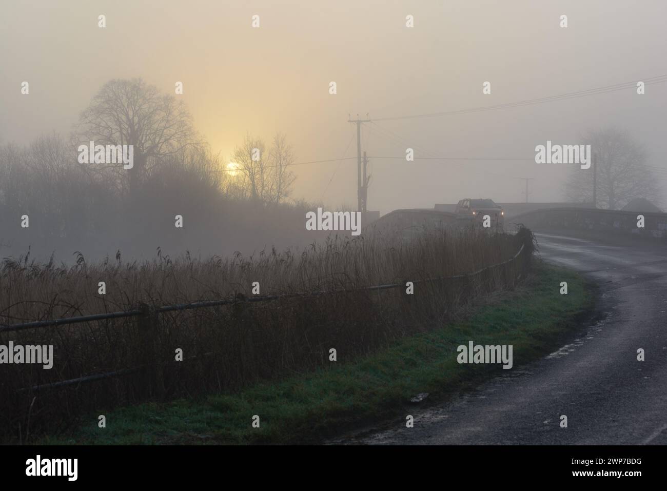 Ibsley, Ringwood, Hampshire, UK, 6th March 2024: Weather. Freezing fog ...