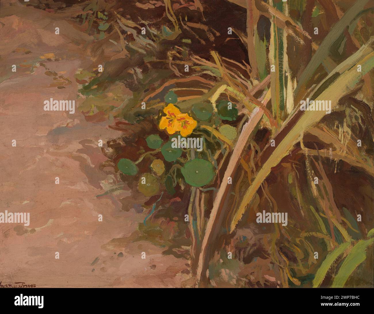 Artworks collected by the Society of Encouragement of Fine Arts, Warsaw ...