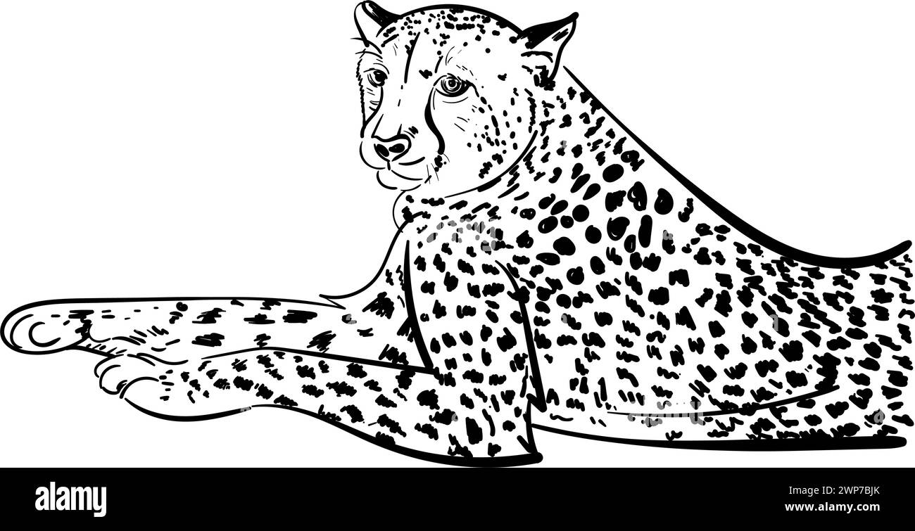 lying resting Cheetah hand-drawn with ink on white background logo ...