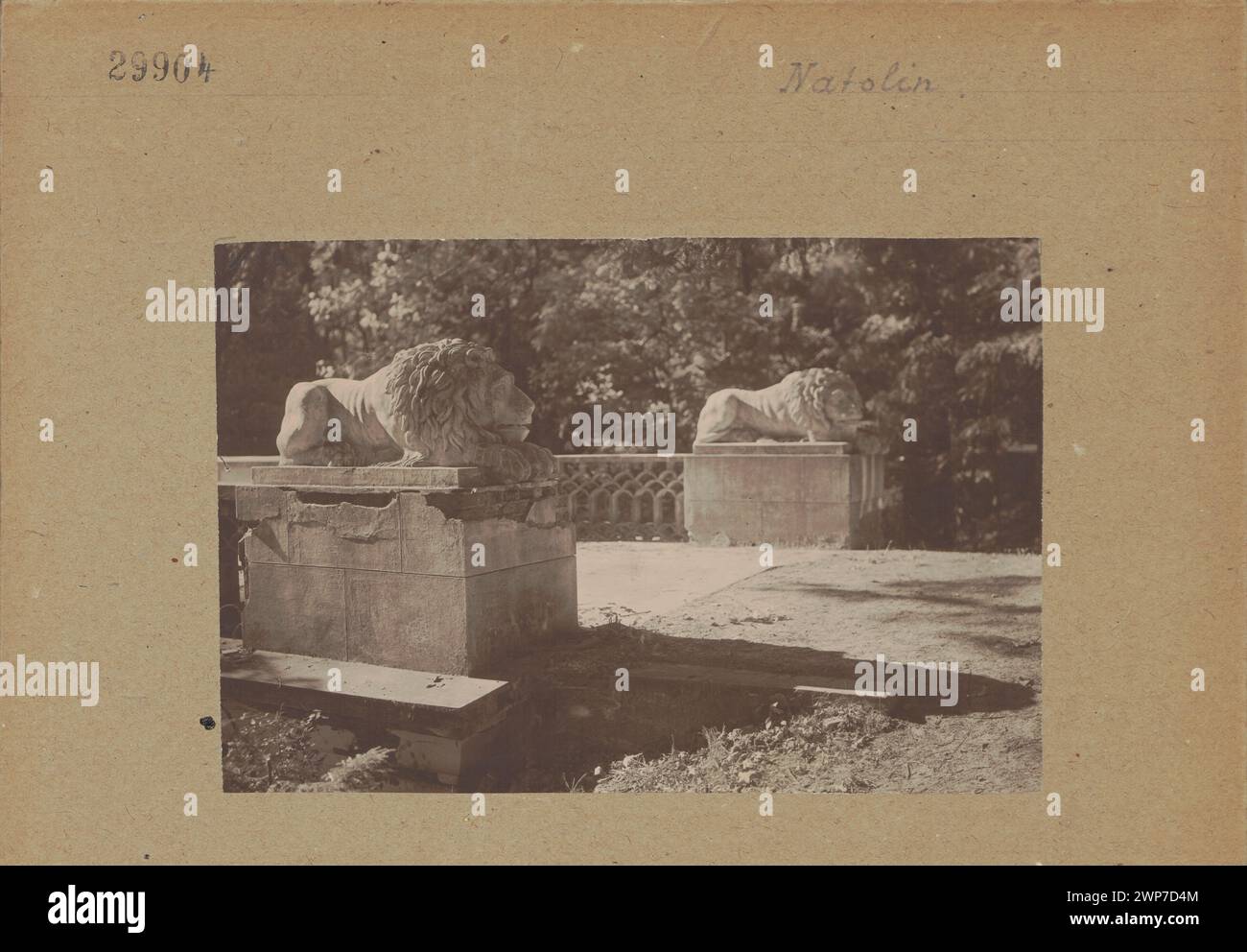 Photograph showing multiple lion sculptures on the terrace of Natolin ...