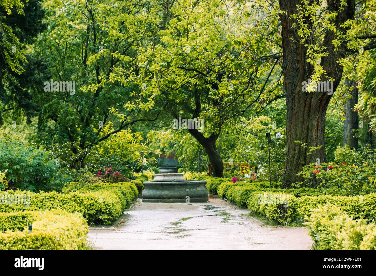 Straight road path goes into a distance into a spring garden. Green ...