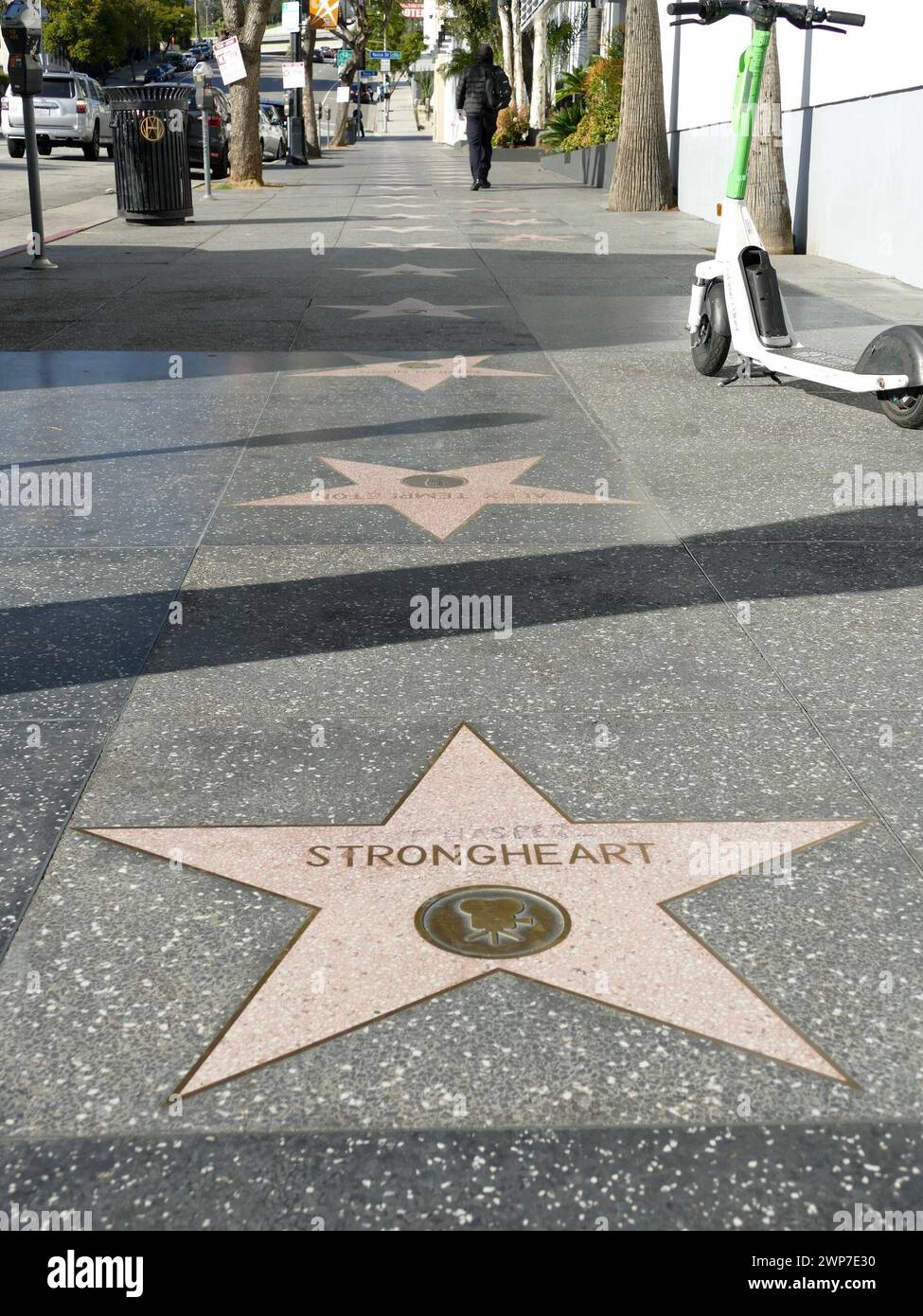 Los Angeles, USA. 05th Mar, 2024. The star for movie dog "Strongheart ...