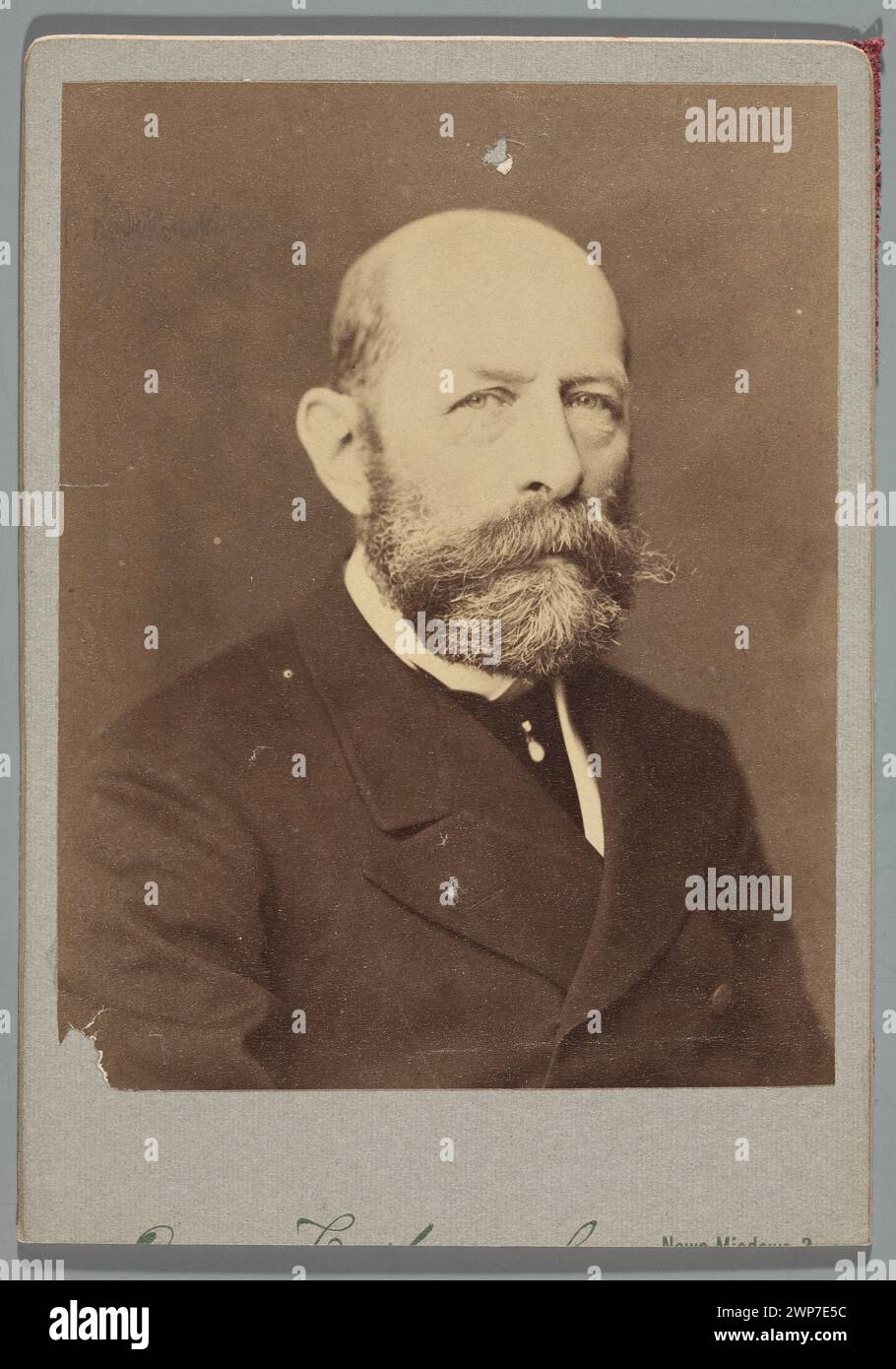 Henryk 1823 1894 ikonografia hi-res stock photography and images - Alamy