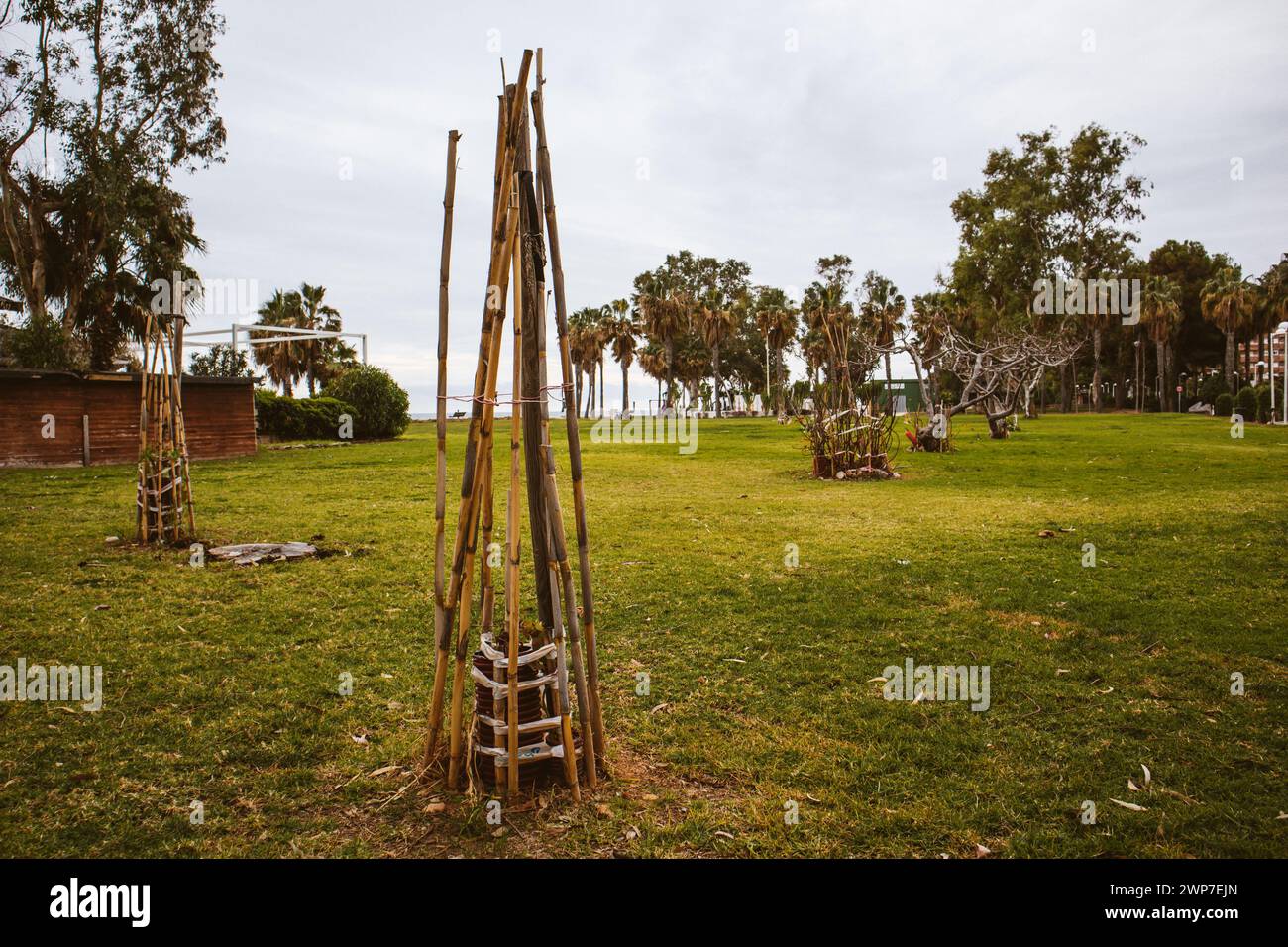 Garden wooden structure for tree support. Garden obelisk supporting a ...