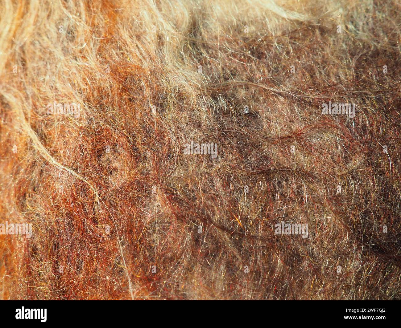 Texture of natural multi-colored mohair wool, scarf close-up. Fragment ...