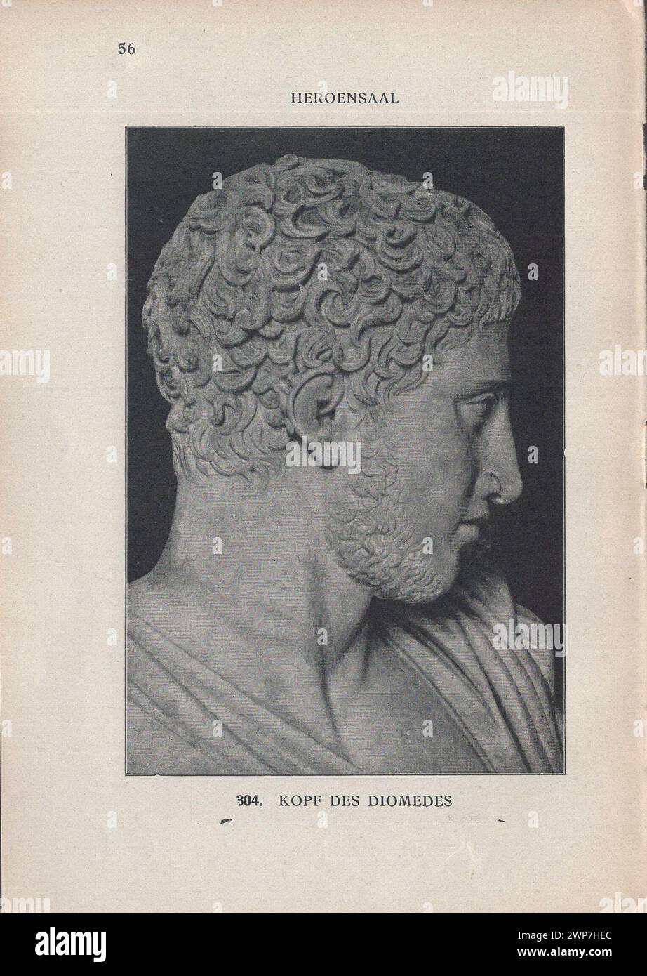 Head of diomedes statue hi-res stock photography and images - Alamy