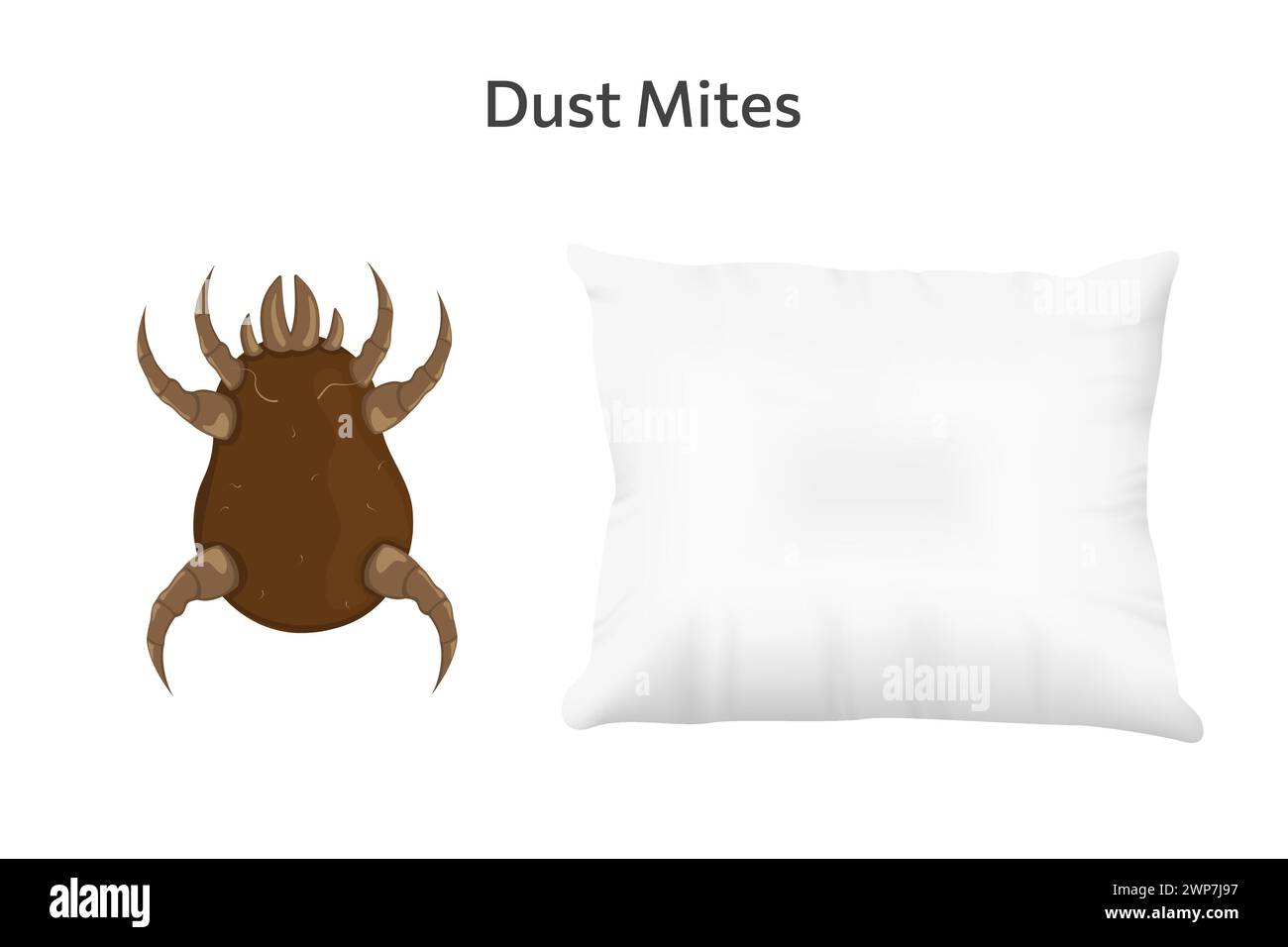 Brown dust mite on pillow vector illustration. Microscopic dangerous ...