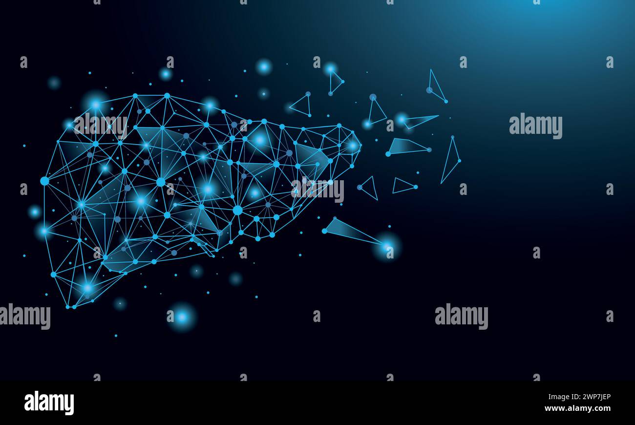 Human liver low poly Stock Vector Images - Alamy