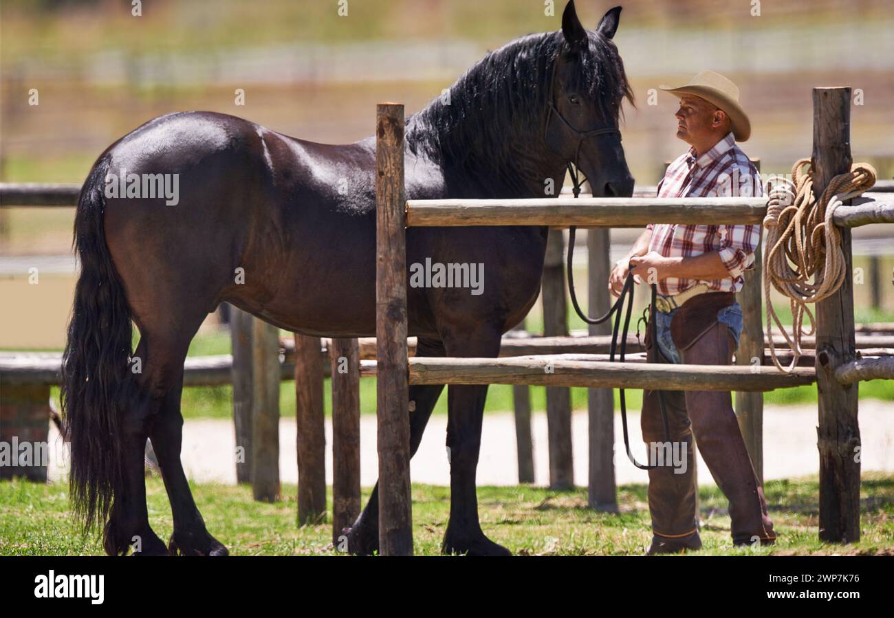 Cowboy, horse and together on farm in nature, pride and bonding on ...