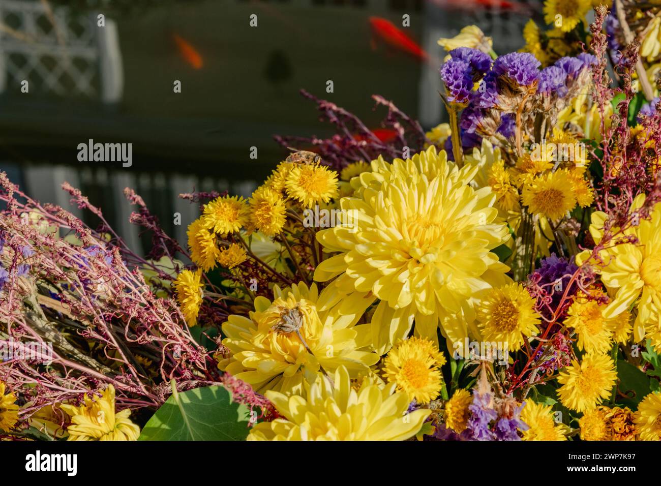 Hints of vibrant flowers hi-res stock photography and images - Alamy