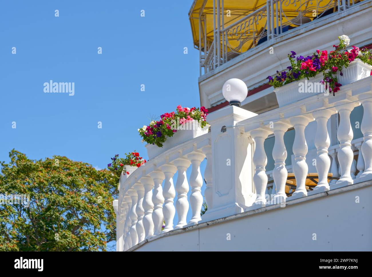 White concrete terrace balustrade with many multicolor Petunia flowers ...
