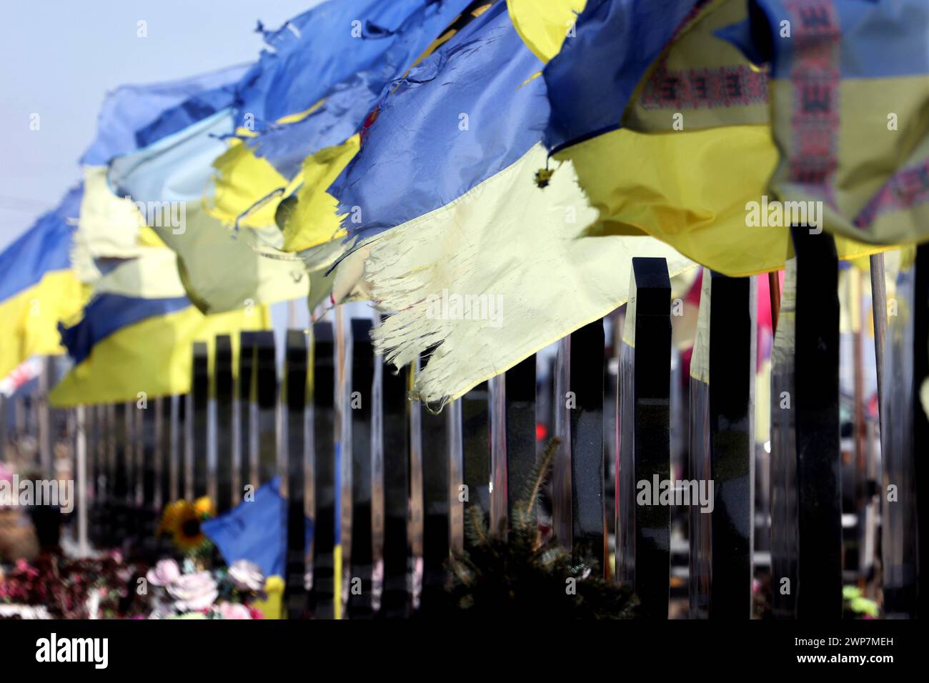 KHARKIV, UKRAINE - MARCH 2, 2024 - Weather-beaten Ukrainian flags flutter in the wind at the ...