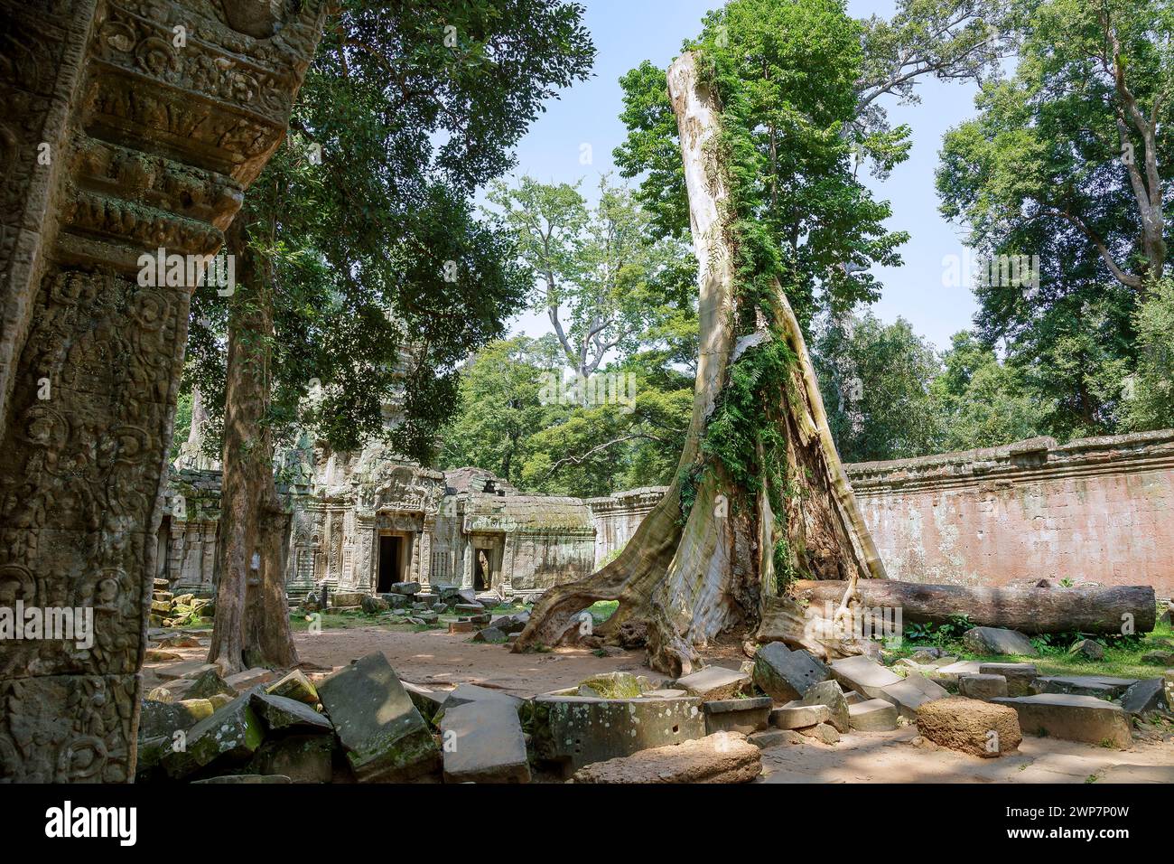 The ruins of Ta Prohm inside Angkor Wat, Siem Reap, Cambodia Stock ...