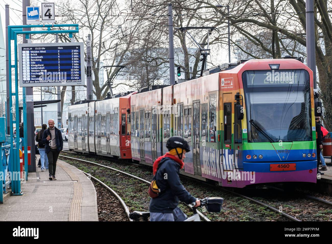 streetcar line 7 of the Cologne transport company KVB at station ...