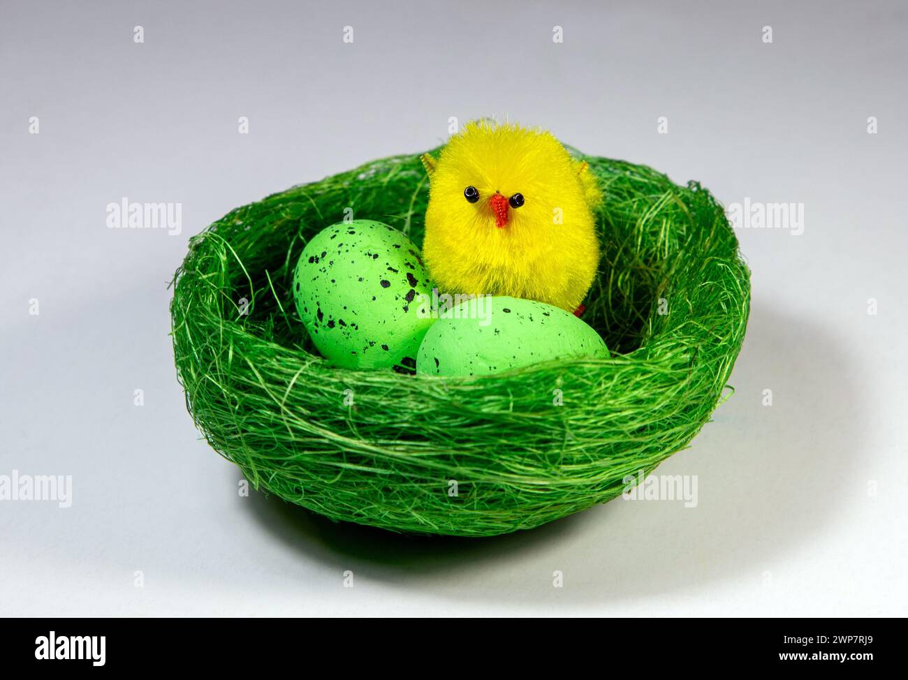 Vibrant chicks hi-res stock photography and images - Alamy