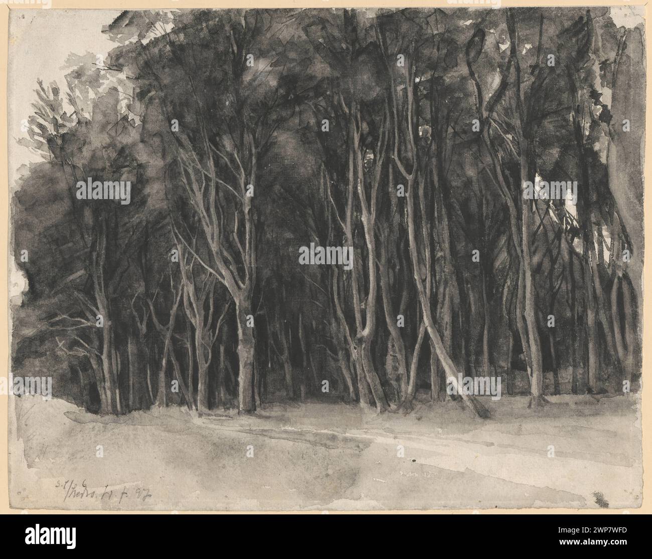The edge of the forest; Jordan, Wilhelm (1871-); 1897 (1897-00-00-1897 ...