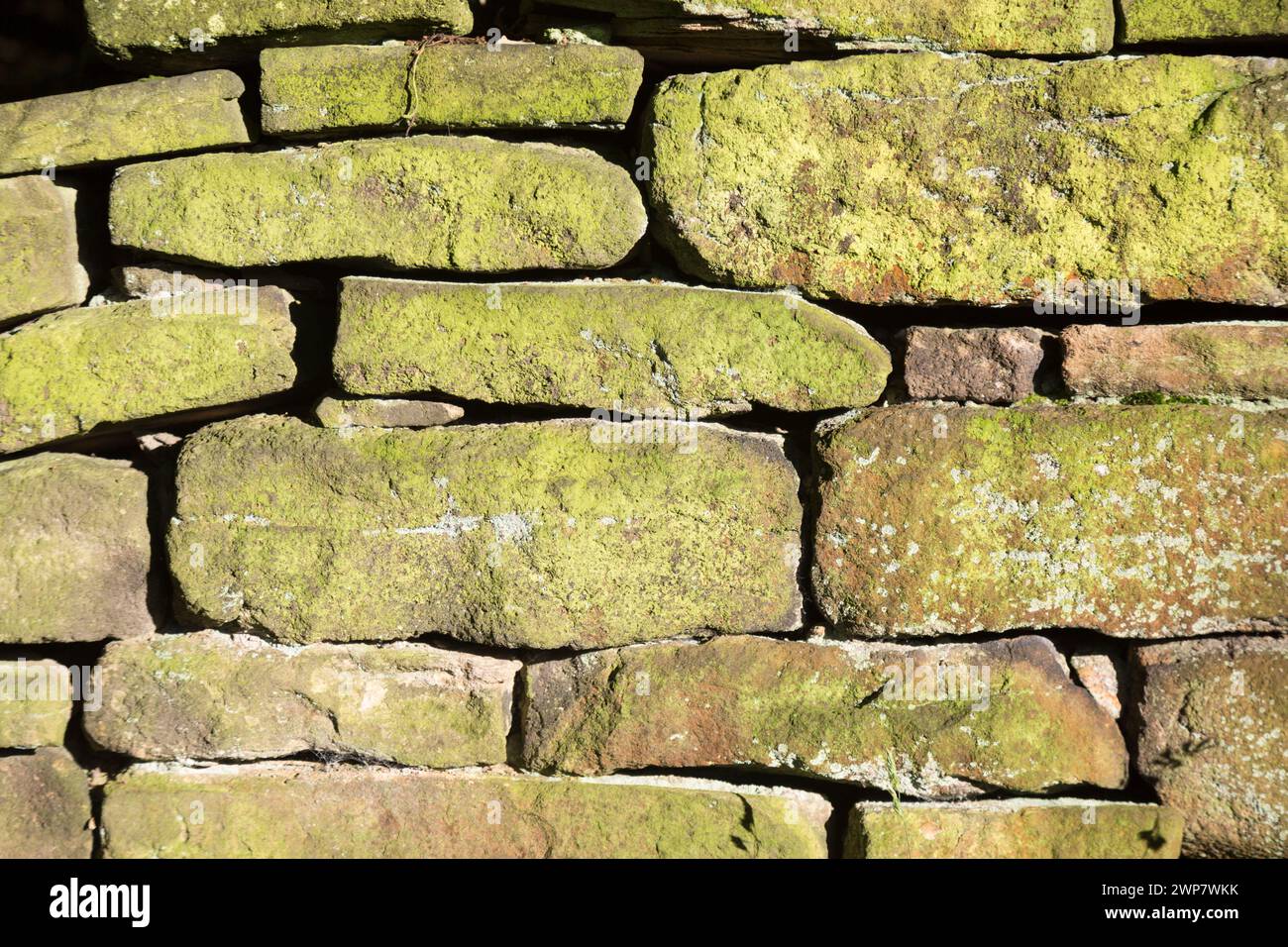 UK, West Yorkshire, details / patterns of a mossy dry stone wall, a ...