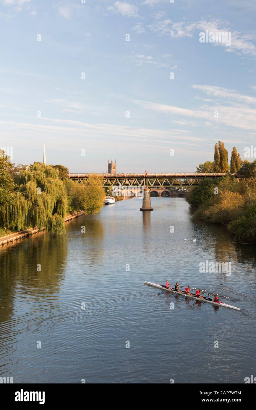 UK, Worcester, the train bridge across the river Severn and rowers ...