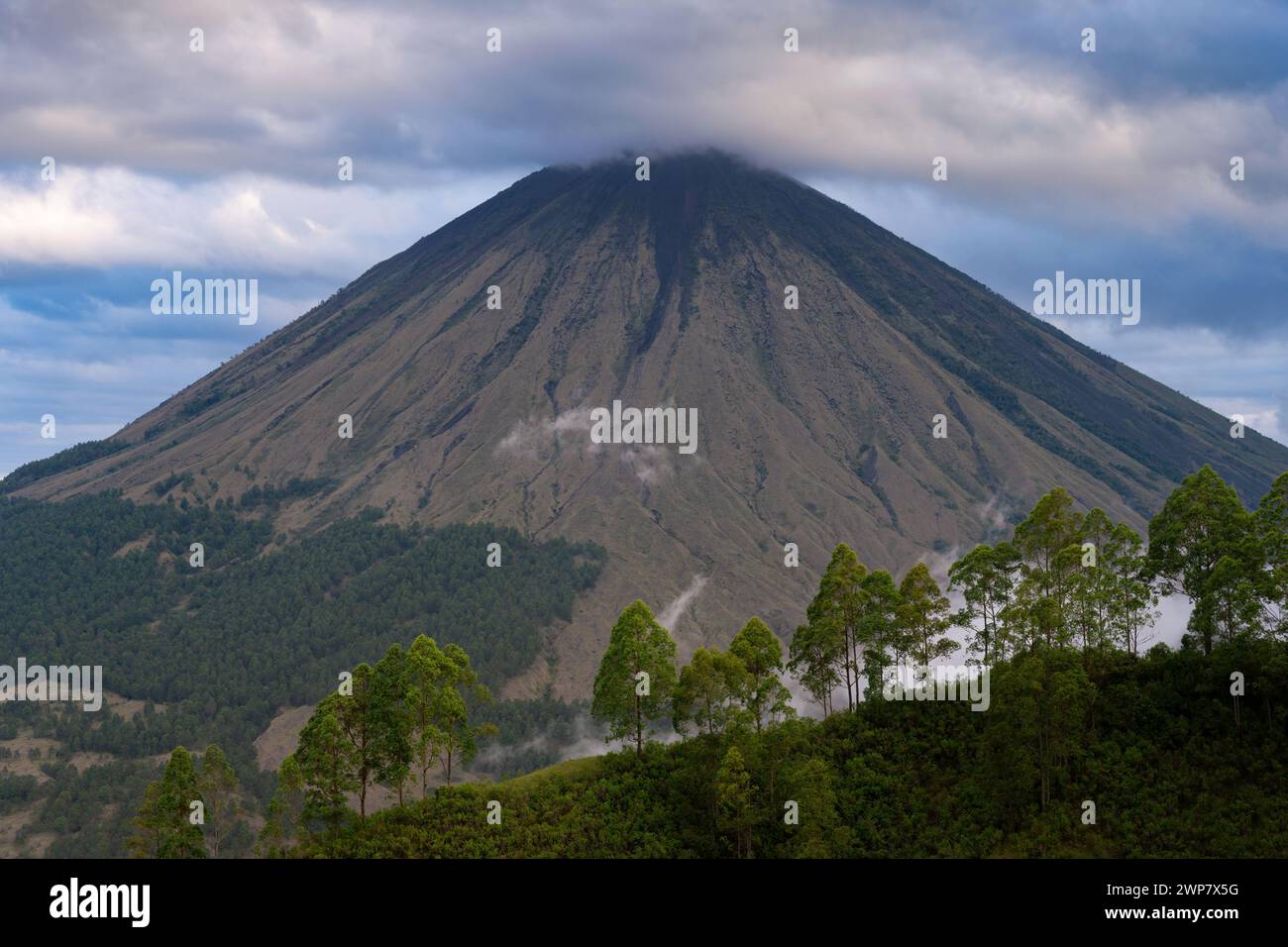 The Inerie volcano on Flores island in Indonesia Stock Photo - Alamy