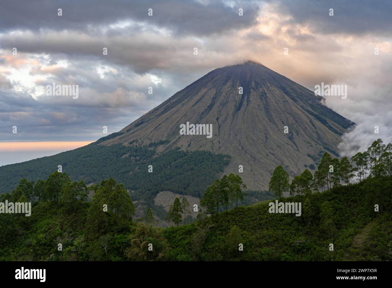 The Inerie volcano on Flores island in Indonesia Stock Photo - Alamy