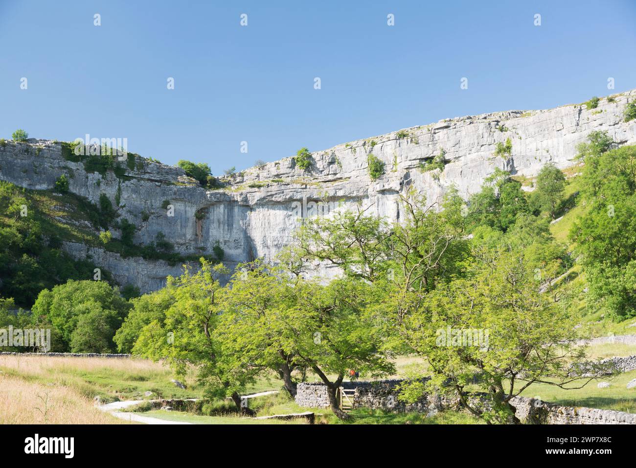The limescale cliffs of Malham cove, Malhamdale, Yorkshire Dales, UK ...
