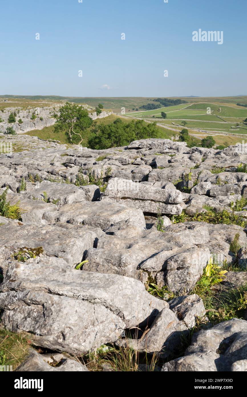 The Limestone pavement at the top of Malham cove, Malhamdale, Yorkshire ...