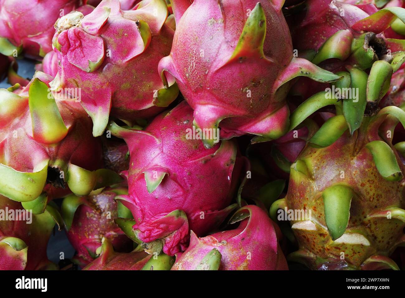 dragon fruit texture as very nice exotic fruit background Stock Photo ...