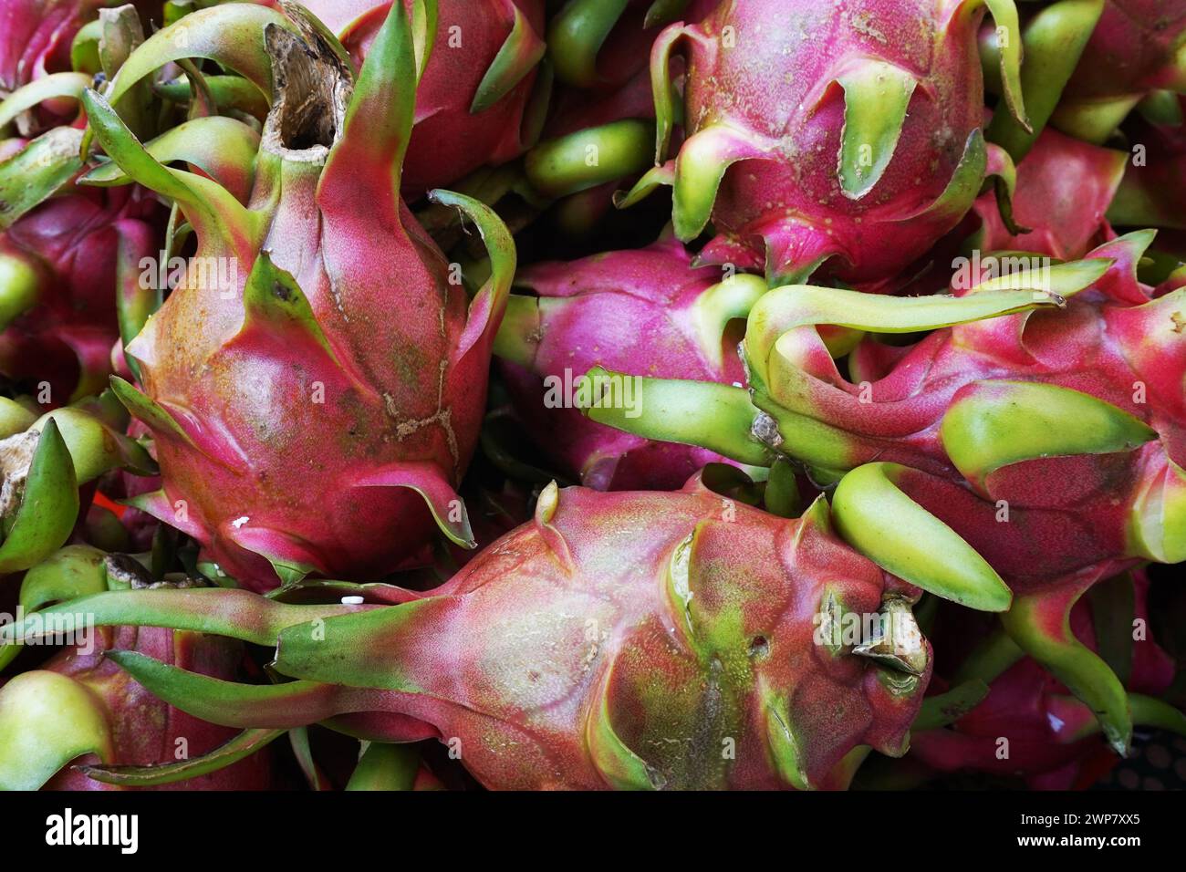 dragon fruit texture as very nice exotic fruit background Stock Photo ...