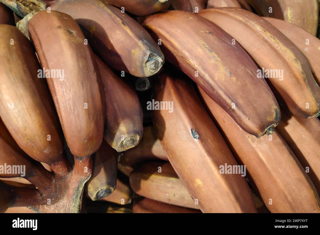 Close-up on a stack of Red bananas on a market stall Stock Photo - Alamy