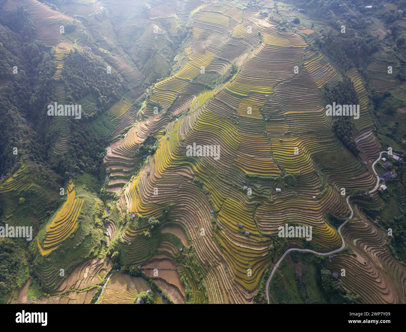 Aerial perspective of Mu Cang Chai rice terraces in Vietnam Stock Photo ...