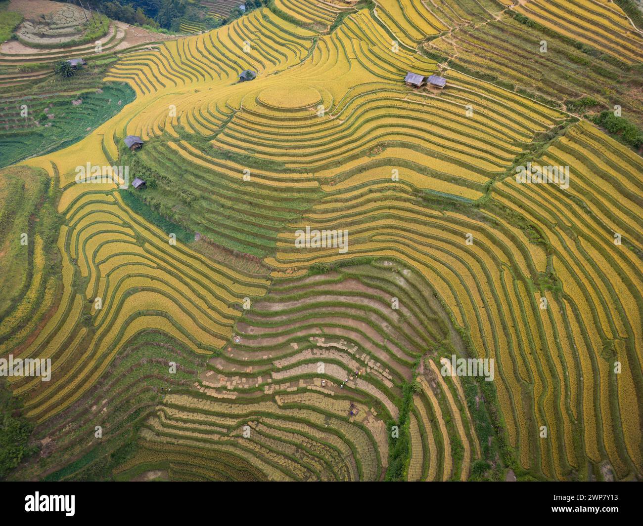 Aerial perspective of Mu Cang Chai rice terraces in Vietnam Stock Photo ...