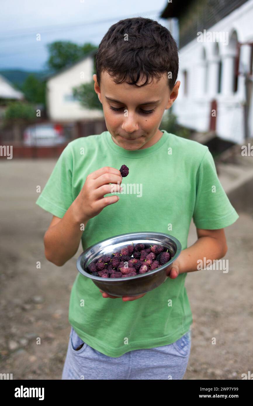 Closeup portrait of a child eating mulberries from a metal bowl Stock ...