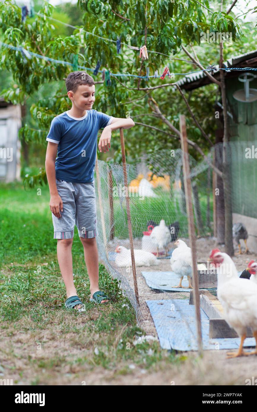 Full length portrait of a child feeding chickens in the countryside ...