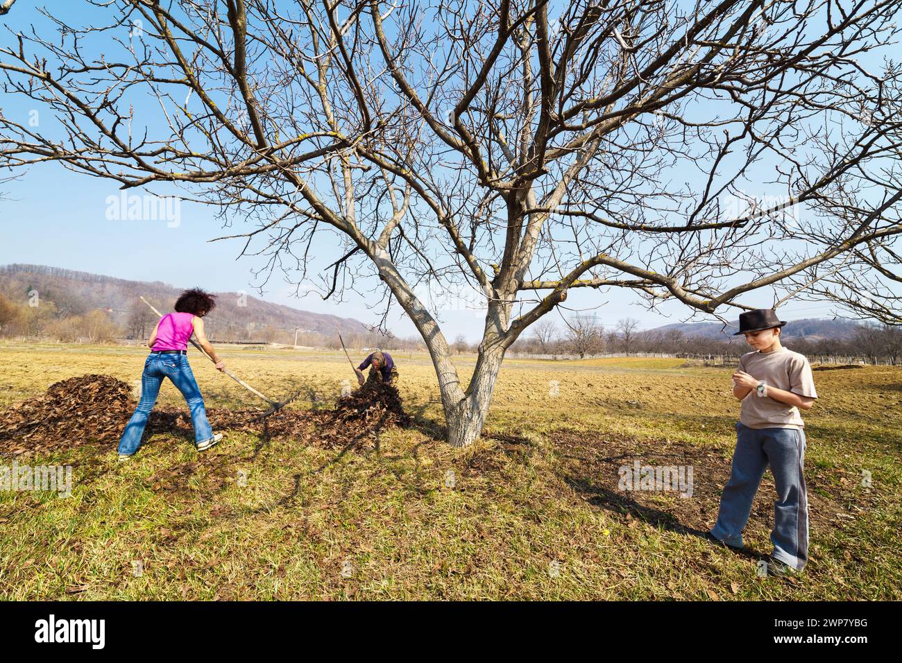 Family spring cleaning with rake in an orchard Stock Photo - Alamy
