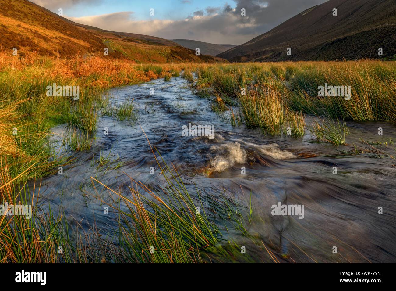 River beck hi-res stock photography and images - Alamy