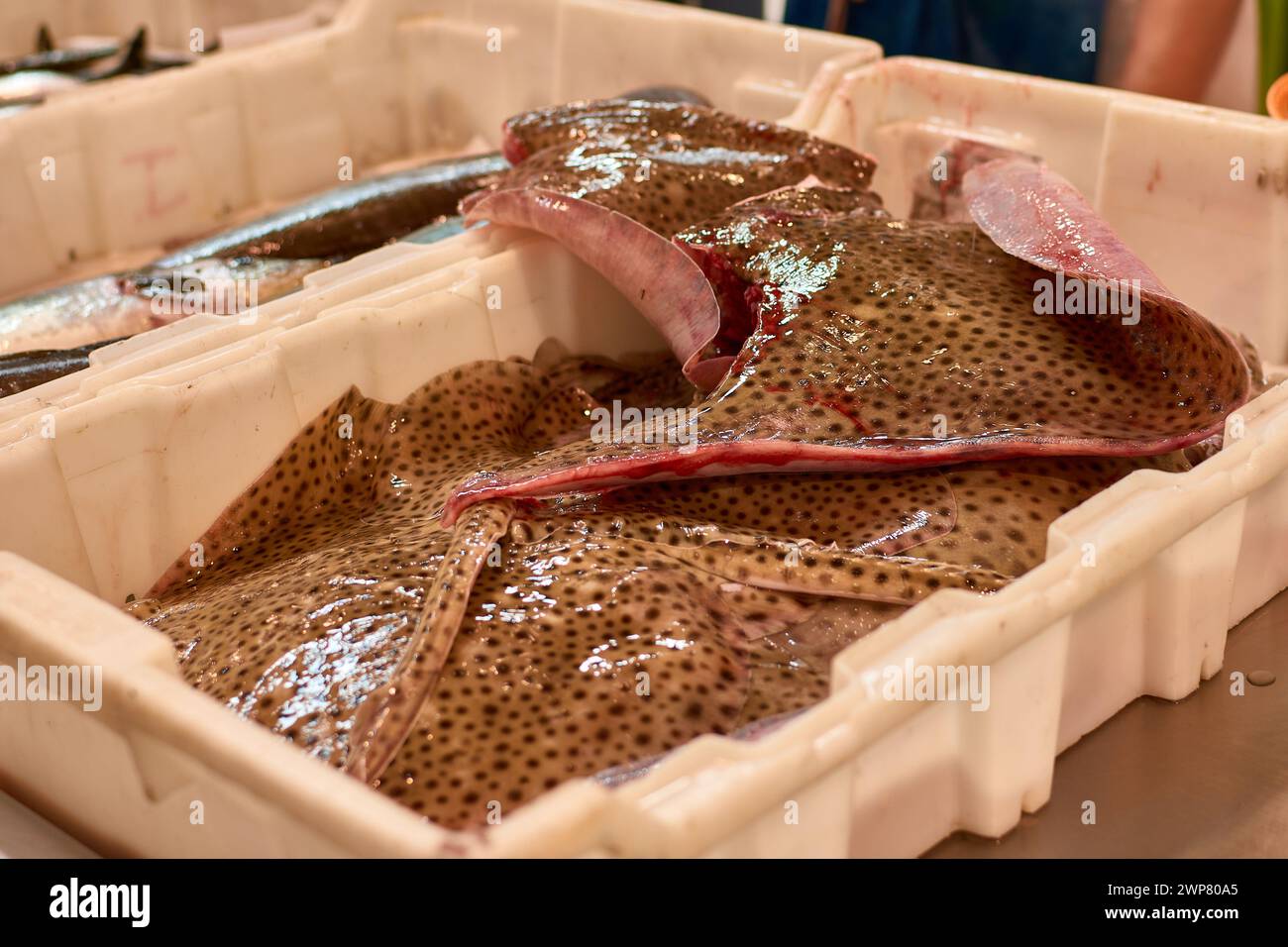 Multiple fish hi-res stock photography and images - Alamy